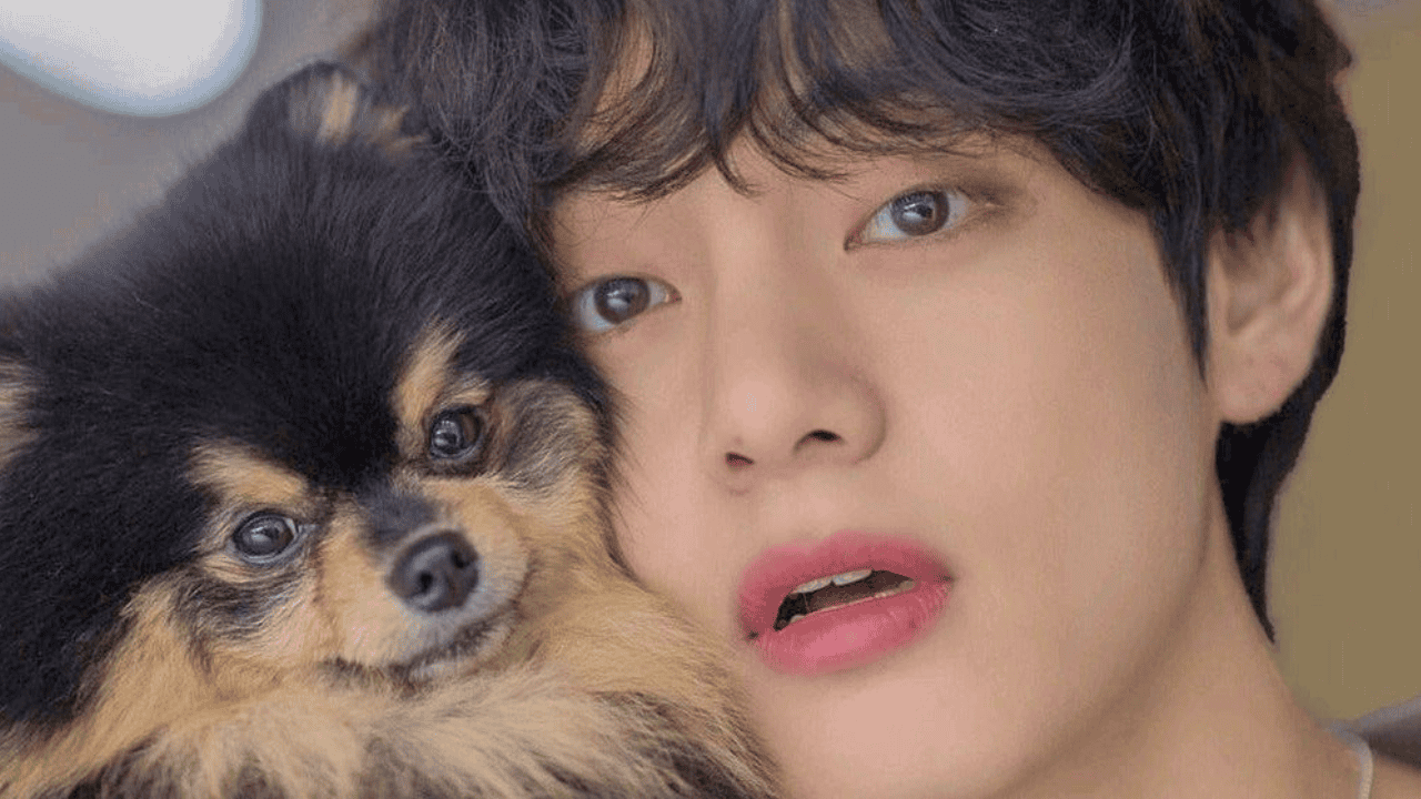 10 Facts about Yeontan, BTS V's Adorable Late Pomeranian Who Passed ...