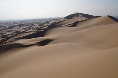 Rare Close Encounter with the 'World's Loneliest Bear' and Cub in Gobi ...