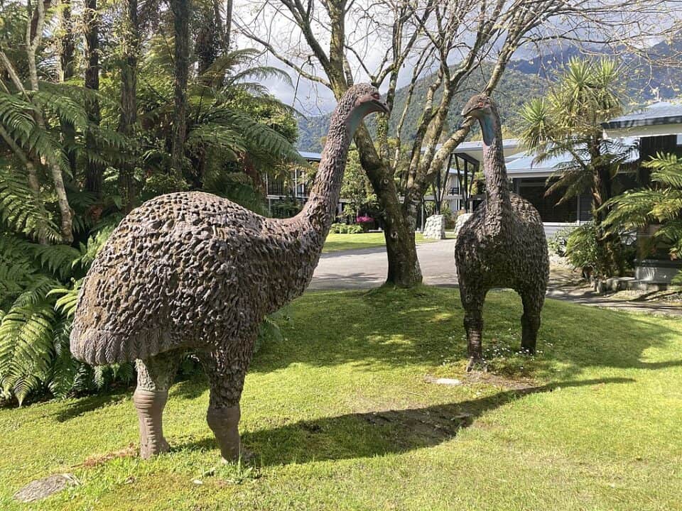 The Ancient Haunts of the Giant Moa in New Zealand - Animals Around The ...