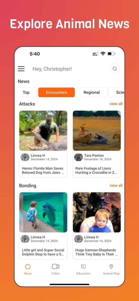 Animal Hub App - Animals Around The Globe
