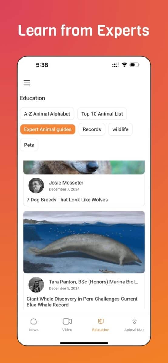 Animal Hub App - Animals Around The Globe