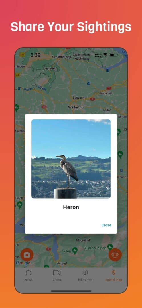 Animal Hub App - Animals Around The Globe