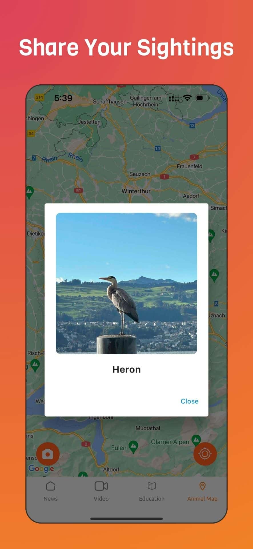 Animal Hub App - Animals Around The Globe