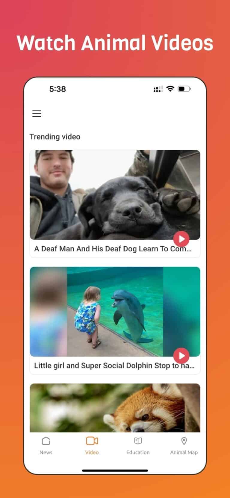 Animal Hub App - Animals Around The Globe