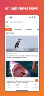 Animal Hub App - Animals Around The Globe