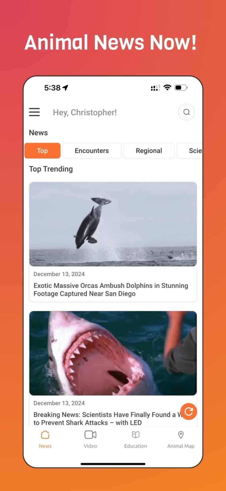 Animal Hub App - Animals Around The Globe