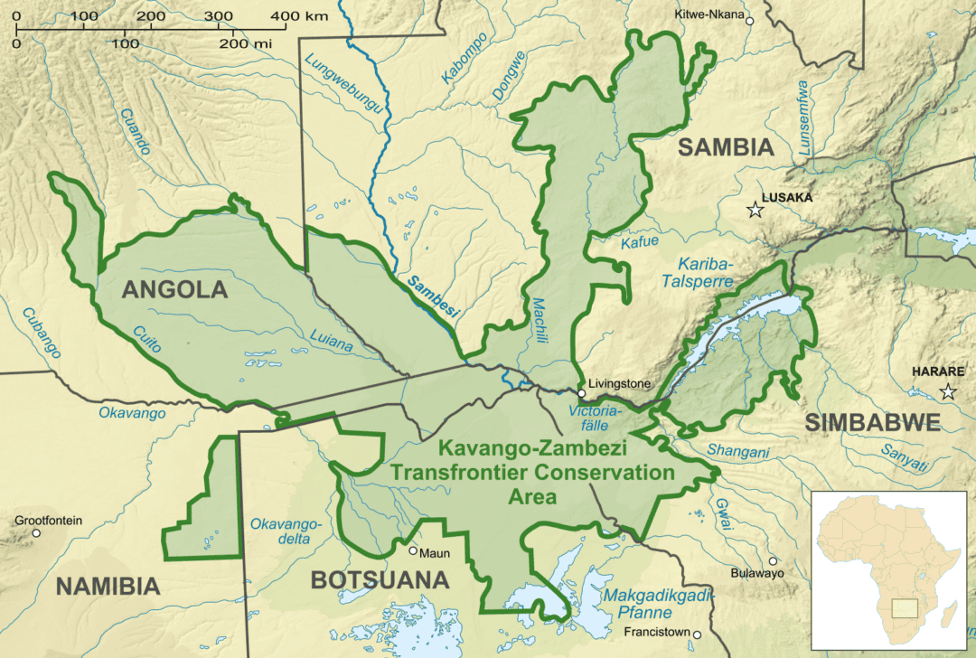 12 Wildlife Corridors Restoring Ecosystems Worldwide