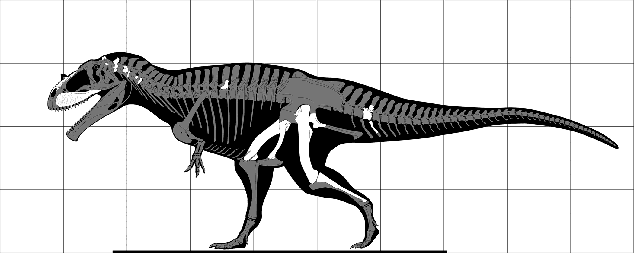 12 Biggest Dinosaur Fossils Ever Found - Animals Around The Globe