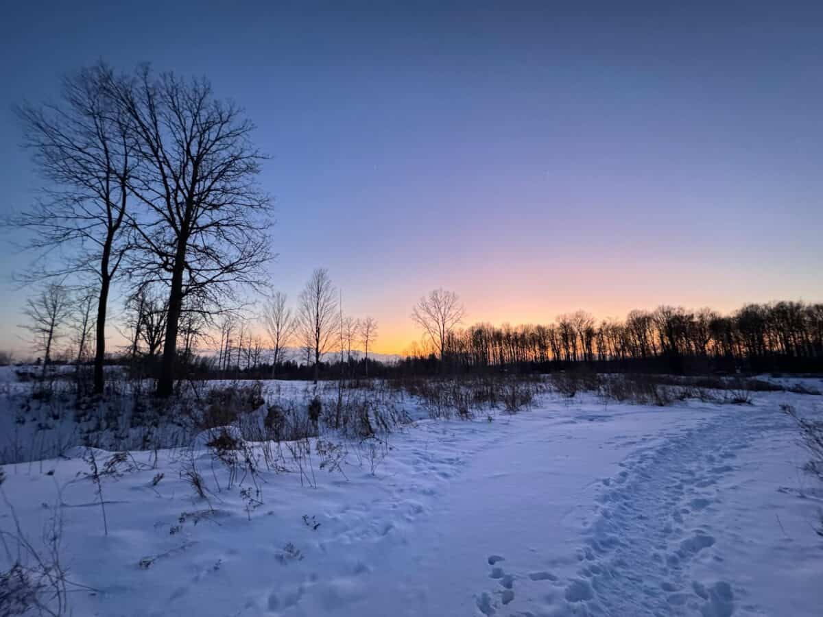 Why Canada Has Some of the Coldest Cities on Earth - Animals Around The ...