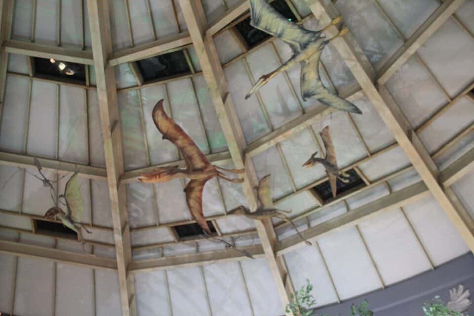 The Evolution of the Flying Reptiles: Pterosaurs of the Mesozoic Era ...