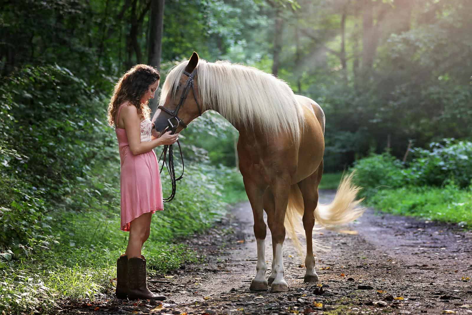The Science Behind Horse-Human Bonding