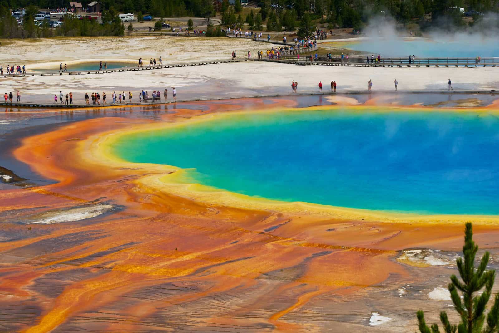 What Happens If Yellowstone Erupts? - Animals Around The Globe