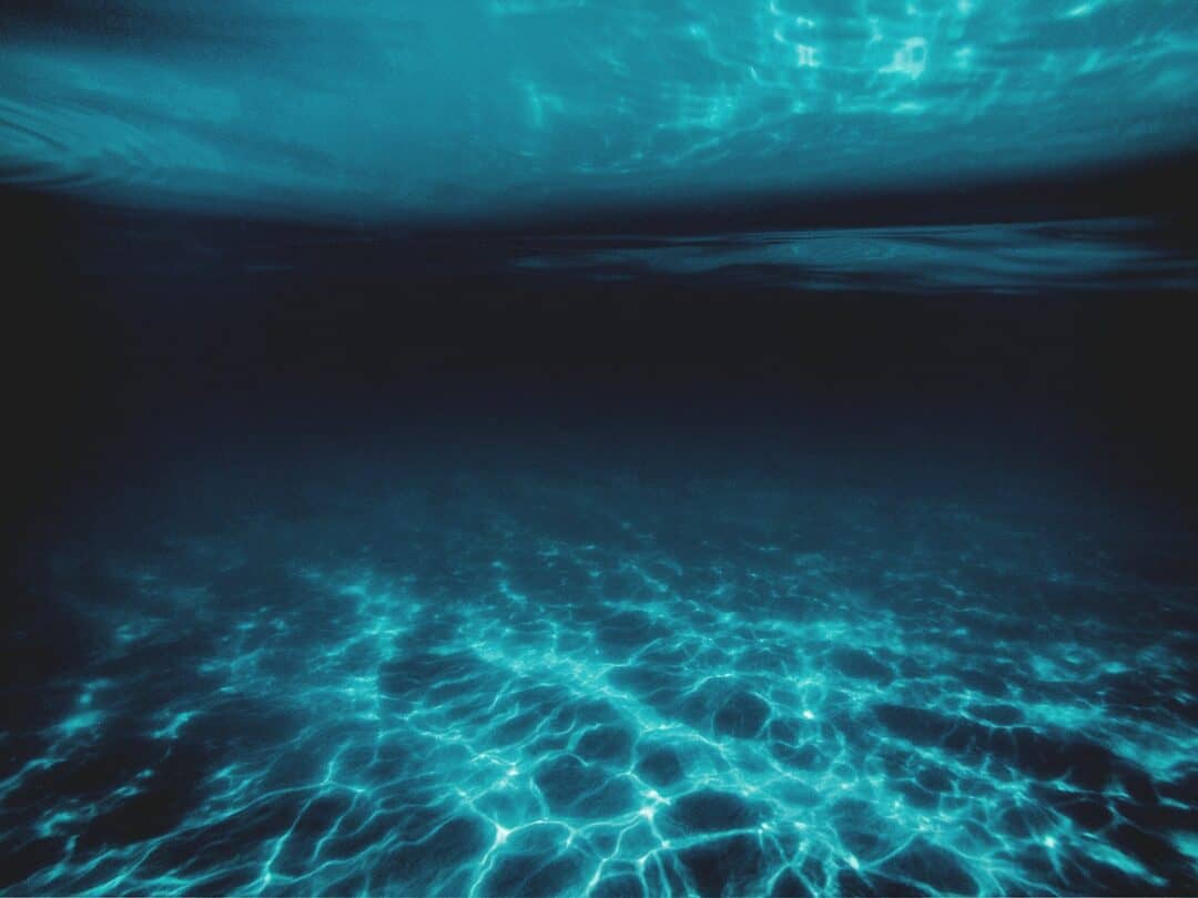 Scientists Just Found the Deepest Living Creature on Earth