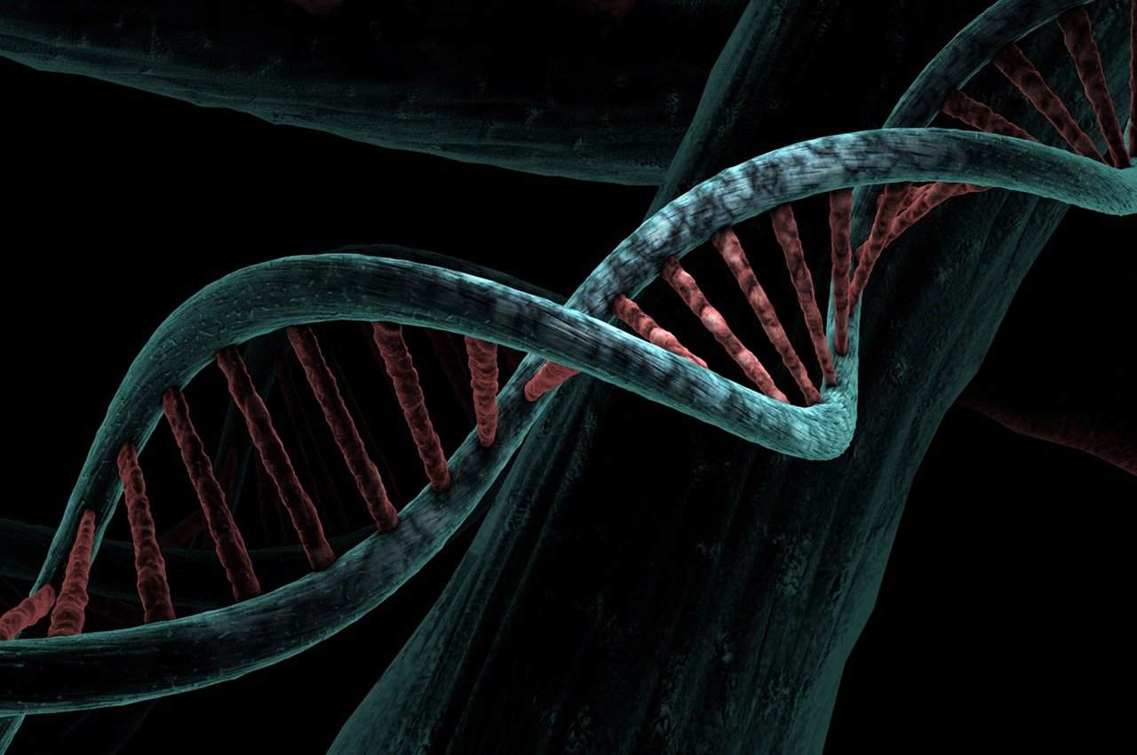 Ancient DNA from El Mirón Cave Unlocks 46,000 Years of Human History ...