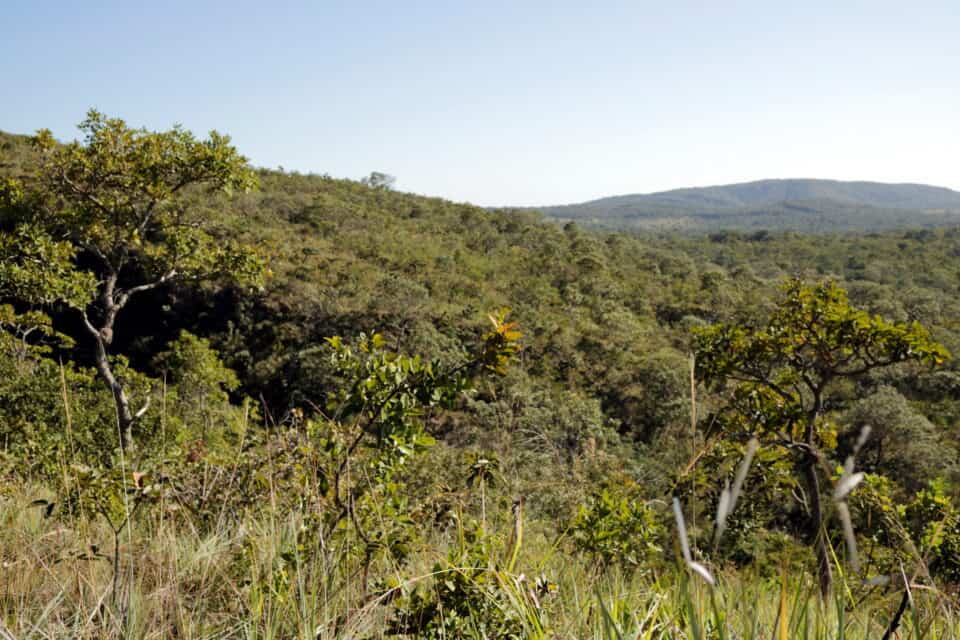 15 Deadliest Snake Hotspots in the World
