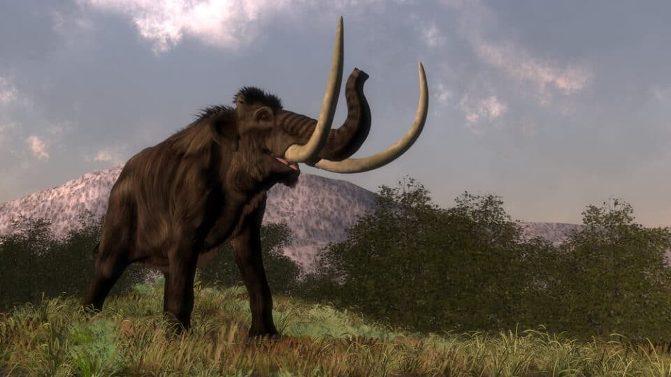 The Woolly Mammoth’s Role in Shaping the Ice Age Ecosystem