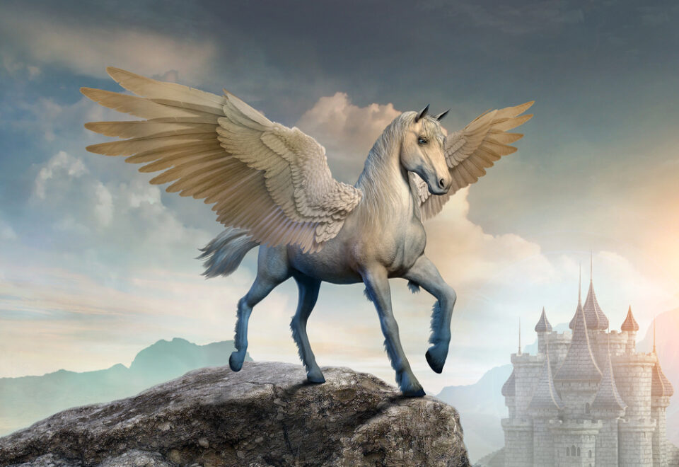 14 Legendary Horses from History and Their Stories