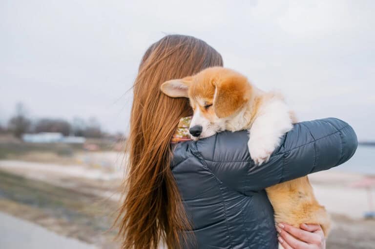 15 Reasons Why Your Dog Follows You Everywhere - Animals Around The Globe