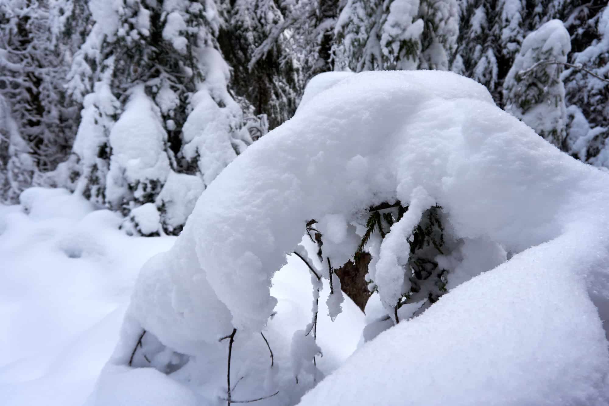 De krachtigste sneeuwstorm zal het noordoosten bedekken