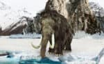 The Woolly Mammoth’s Role in Shaping the Ice Age Ecosystem