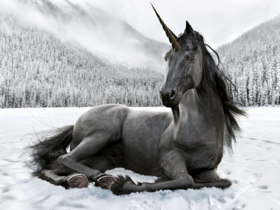 14 Legendary Horses from History and Their Stories