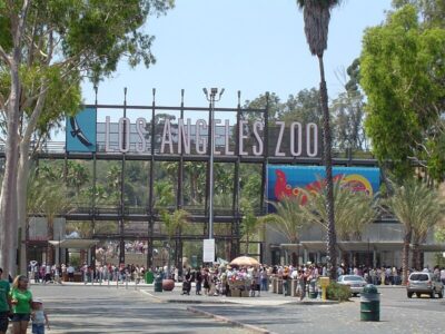49 Must-Visit Zoos Across the Globe for Animal Lovers - Animals Around ...