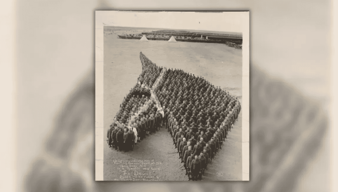 When 650 Soldiers Formed a Tribute to 8 Million Fallen Horses During ...