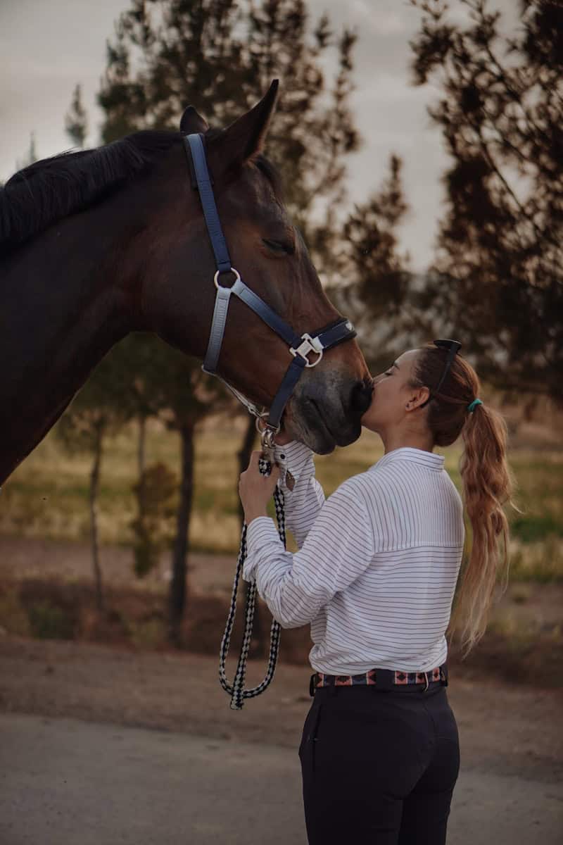 15 Ways to Build a Strong Bond with Your Horse - Animals Around The Globe
