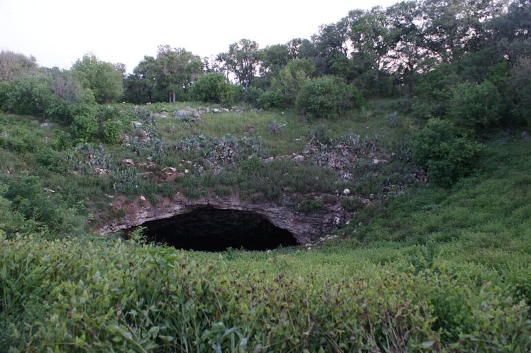 What Scientists Discovered in a Bat Cave in Borneo