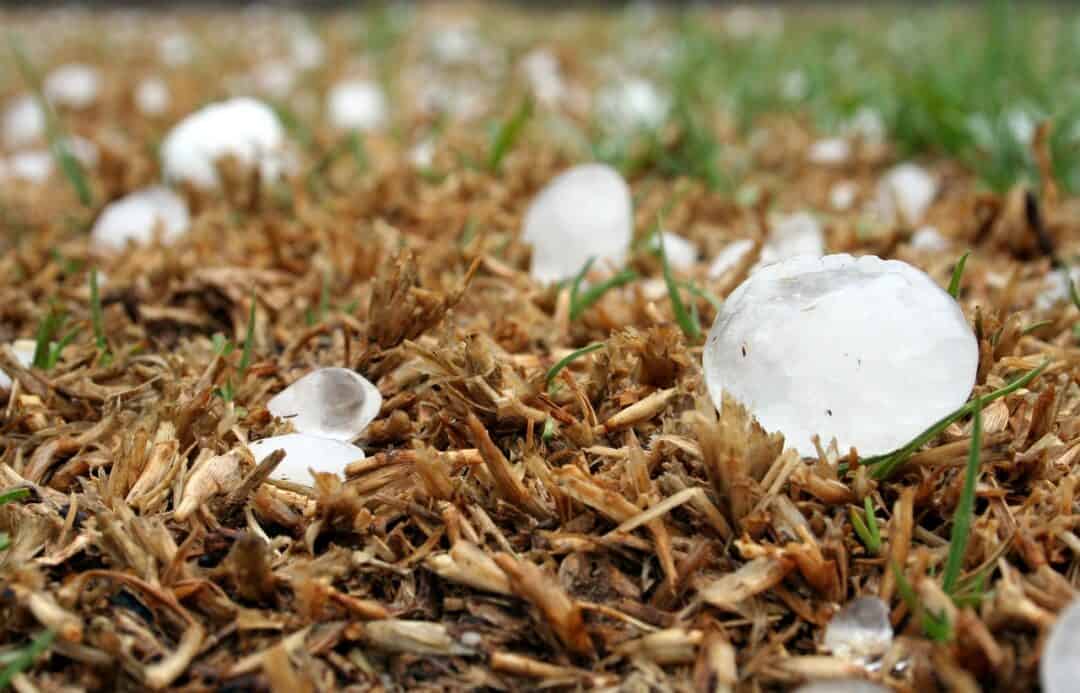 The Biggest Hailstone Ever Recorded—And How Much It Weighed - Animals ...