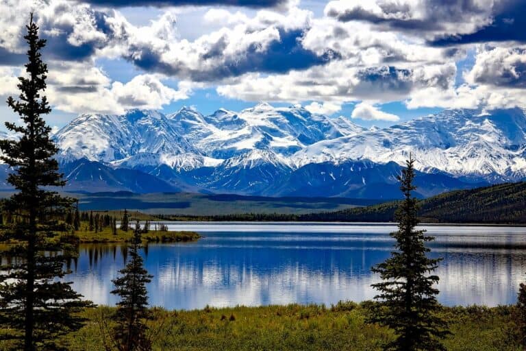 The Alaska Reserve Where You Can See All Five Big Mammals - Animals ...