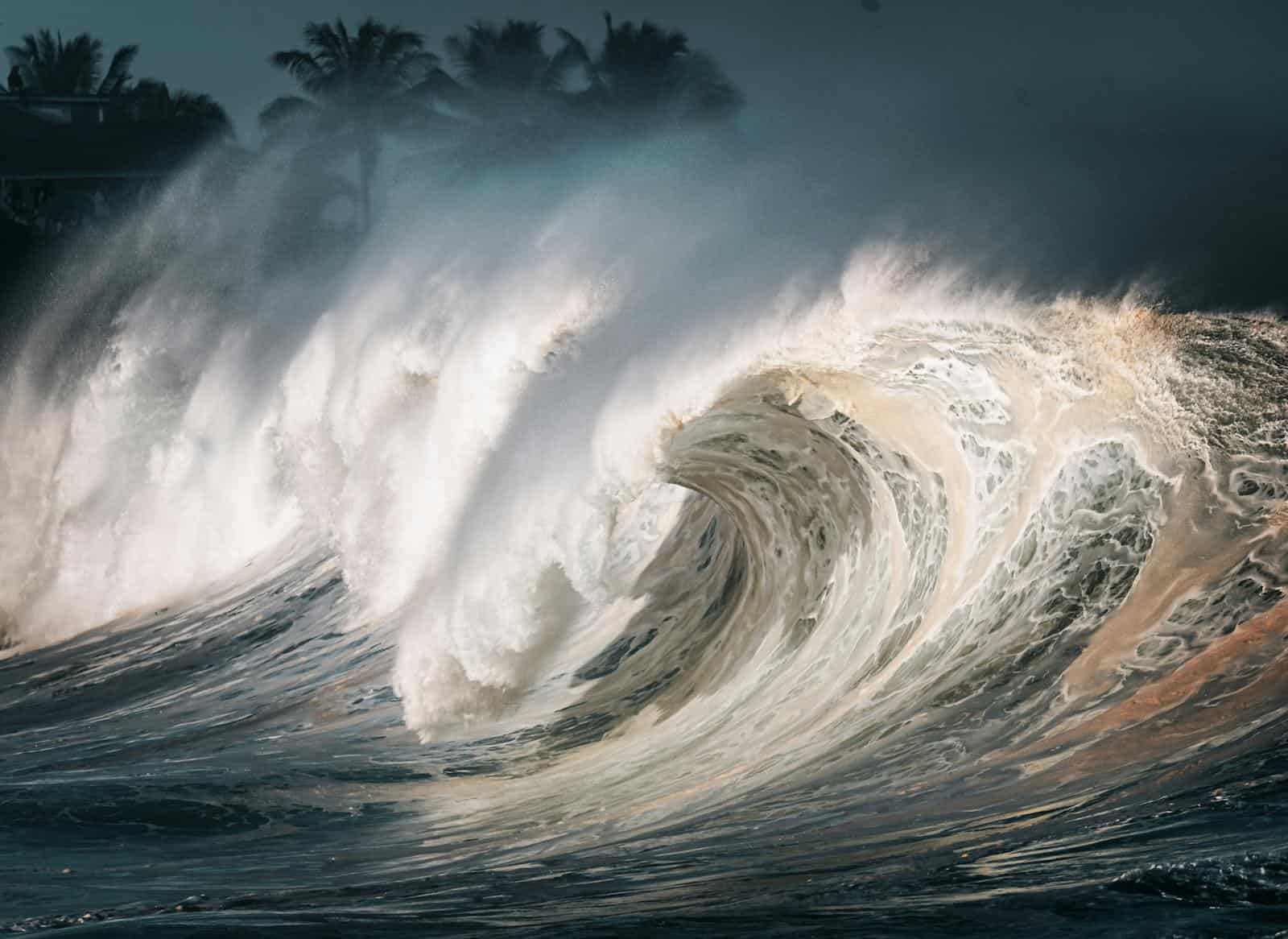 Why This Tsunami Was the Most Terrifying in History - Animals Around ...
