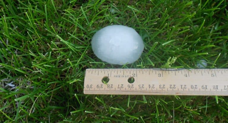 The Biggest Hailstone Ever Recorded—And How Much It Weighed - Animals ...