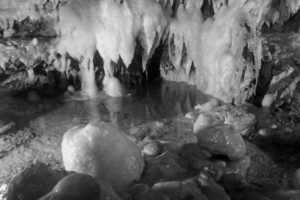 The Deepest Cave in North America Has a Shocking Secret - Animals ...