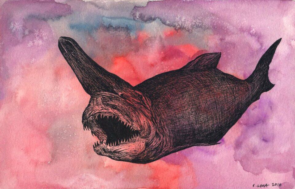 What Makes the Goblin Shark So Terrifying and So Rare - Animals Around ...
