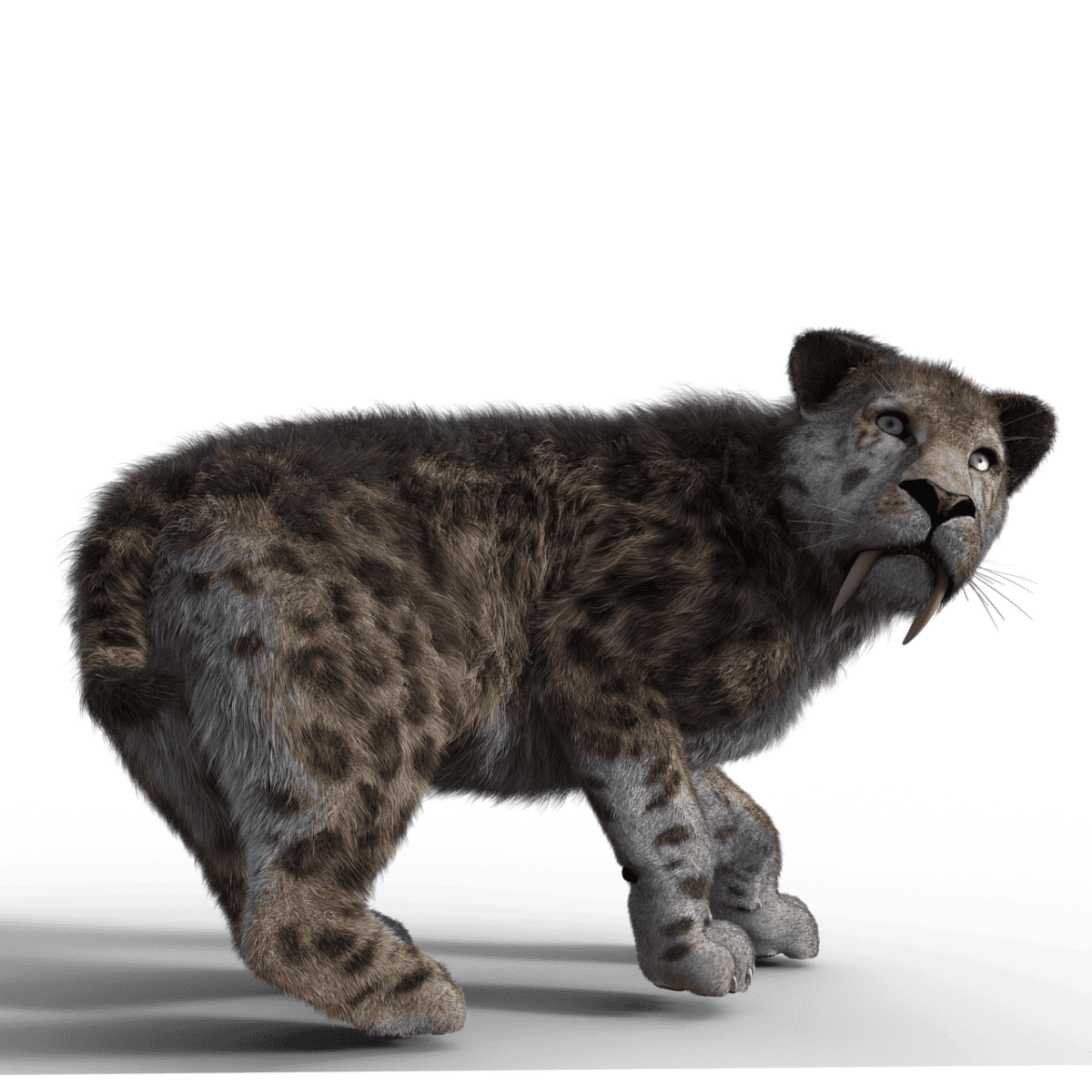 What Happened to the Saber-Toothed Cats of the Ice Age? - Animals ...