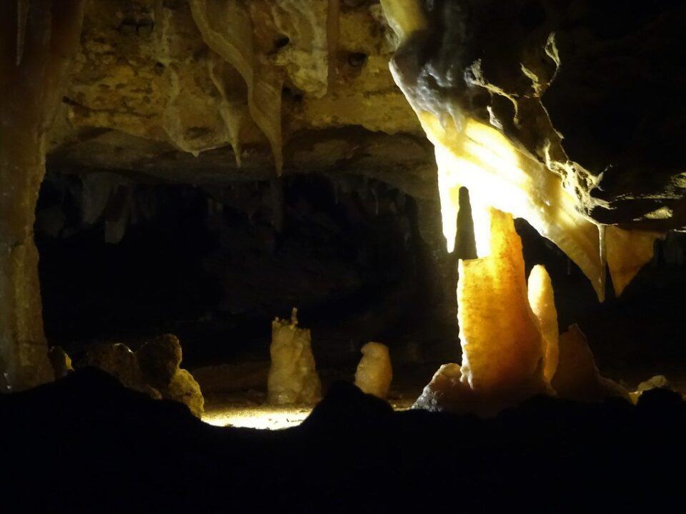 The Deepest Cave in North America Has a Shocking Secret - Animals ...