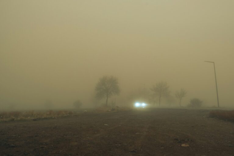 The Largest Dust Storm Ever to Sweep Across the Midwest - Animals ...
