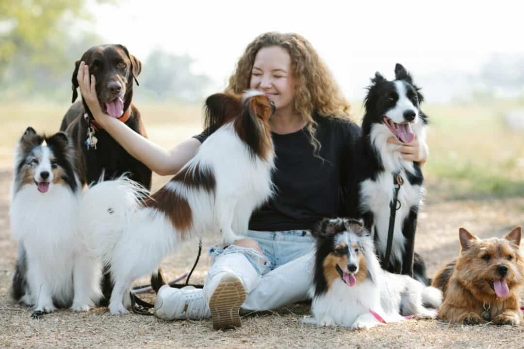 Dogs Really Do Smile—Here’s How to Tell - Animals Around The Globe