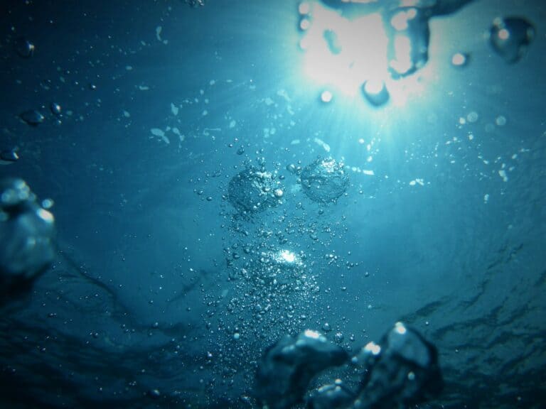 Why the Western U.S. Could Face a Water Collapse by 2050 - Animals ...