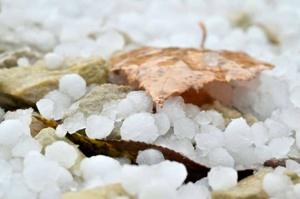 The Largest Hailstones Ever Recorded In The Us—and Their Impact