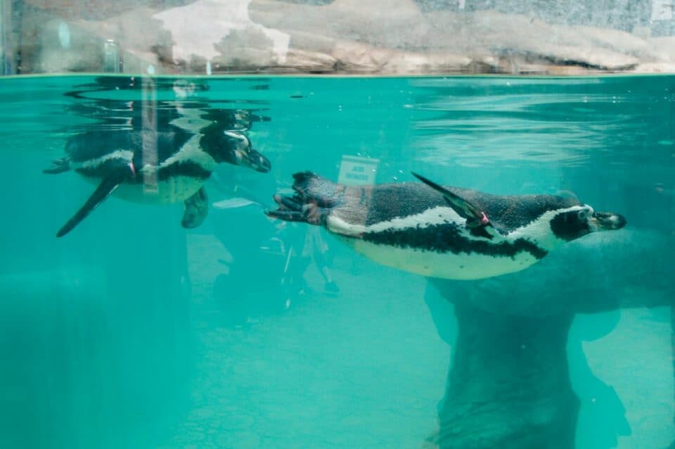 What Scientists Just Found Under the Antarctic Ice Is Astonishing
