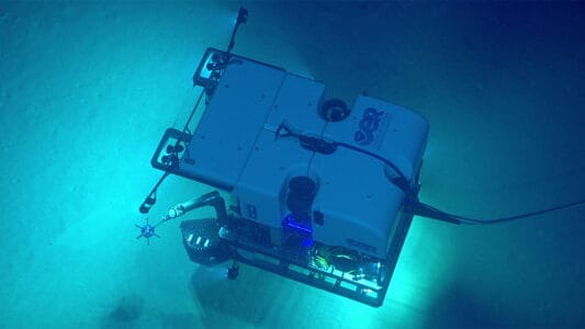 Scientists Just Found the Deepest Living Creature on Earth
