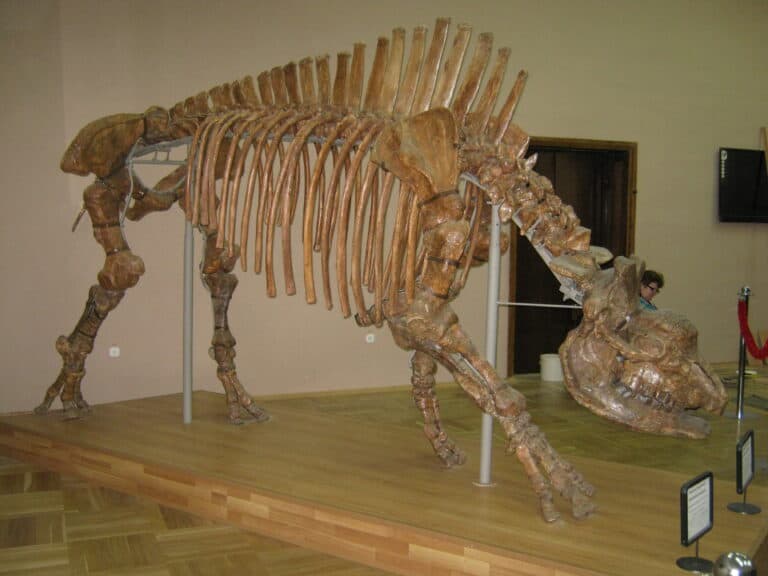 13 Animals That Lived Alongside Early Humans - Animals Around The Globe