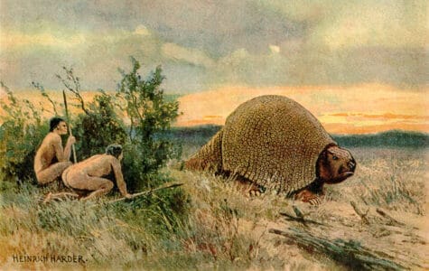 Scientists Stunned by the Largest 20,000-Year-Old Armadillo Fossils ...