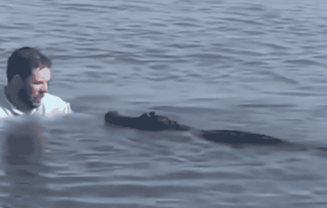 Man Dances with an Angry Alligator, Stuns the Internet - Animals Around ...