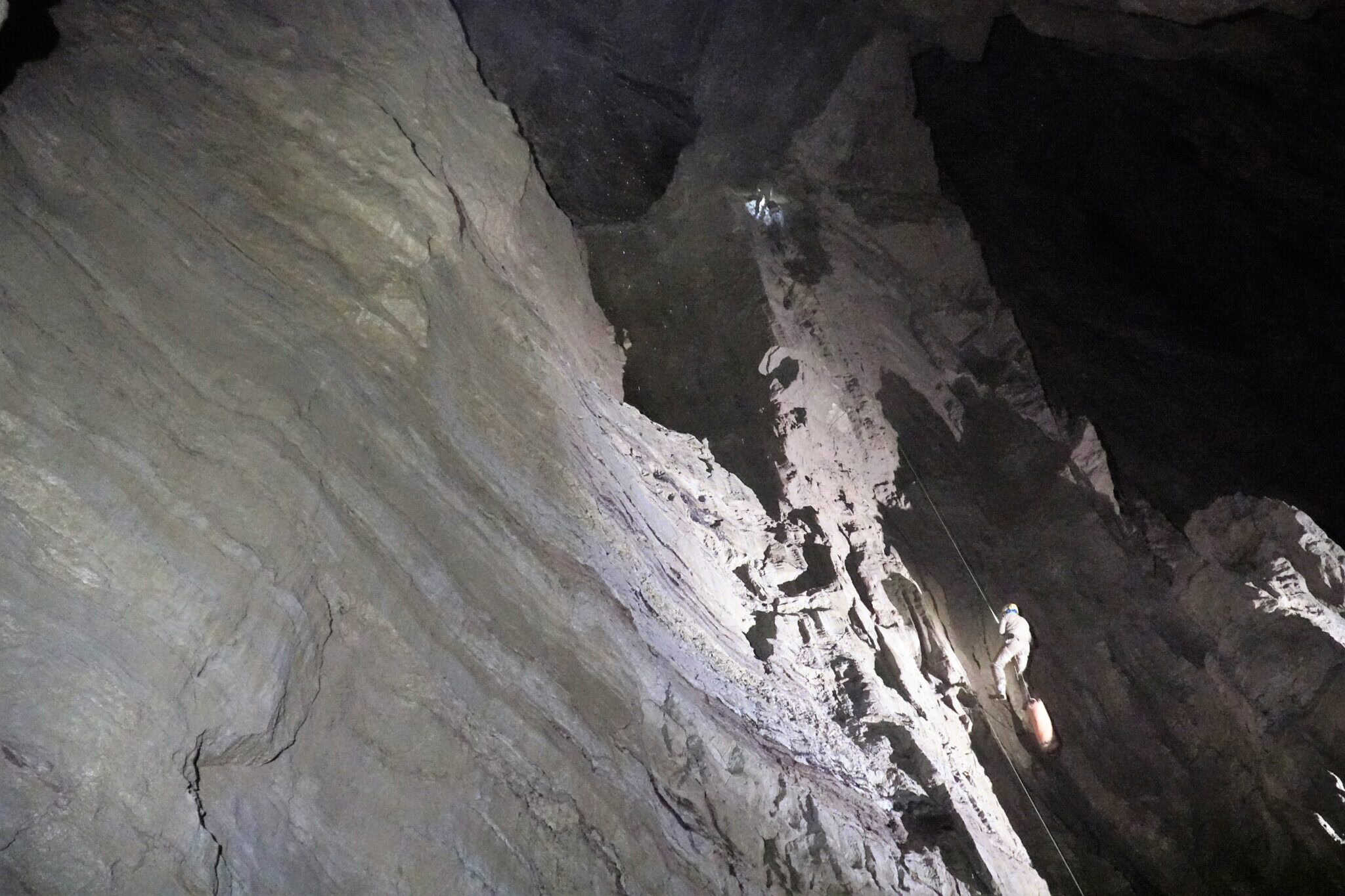 The Secret Caves Where Endangered Bats Still Thrive