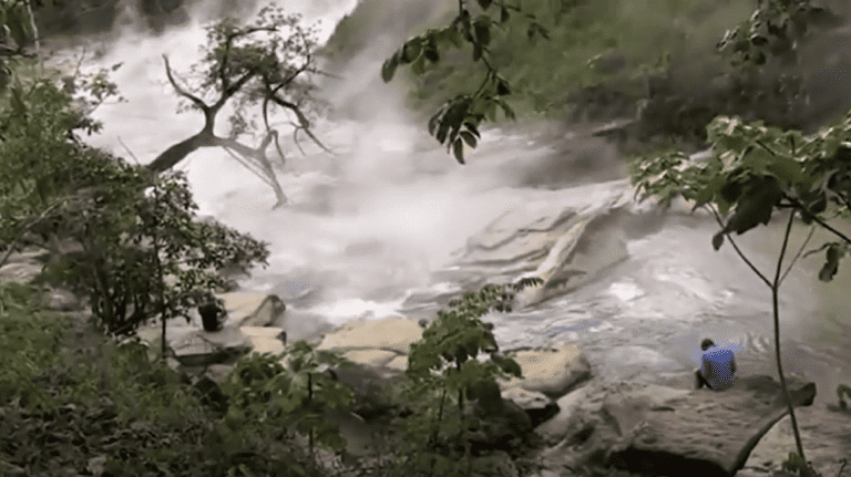 The River That Boils Without Fire - Animals Around The Globe