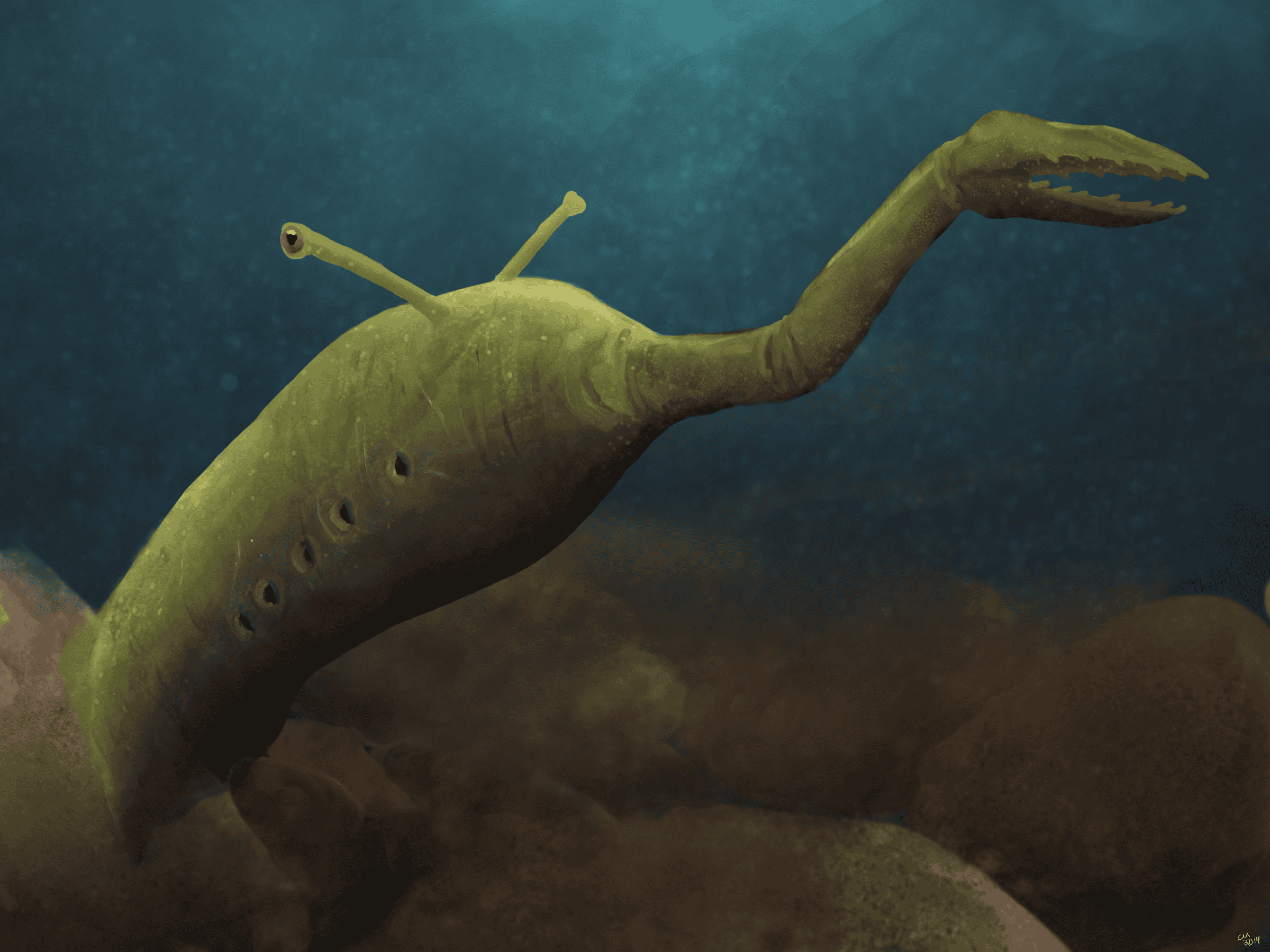 The Most Incredible Fossil Discoveries You Can See Today - Animals ...