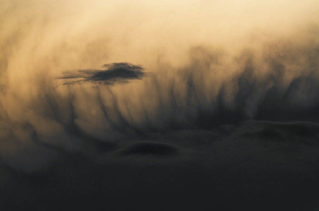 The Largest Dust Storm Ever to Sweep Across the Midwest - Animals ...